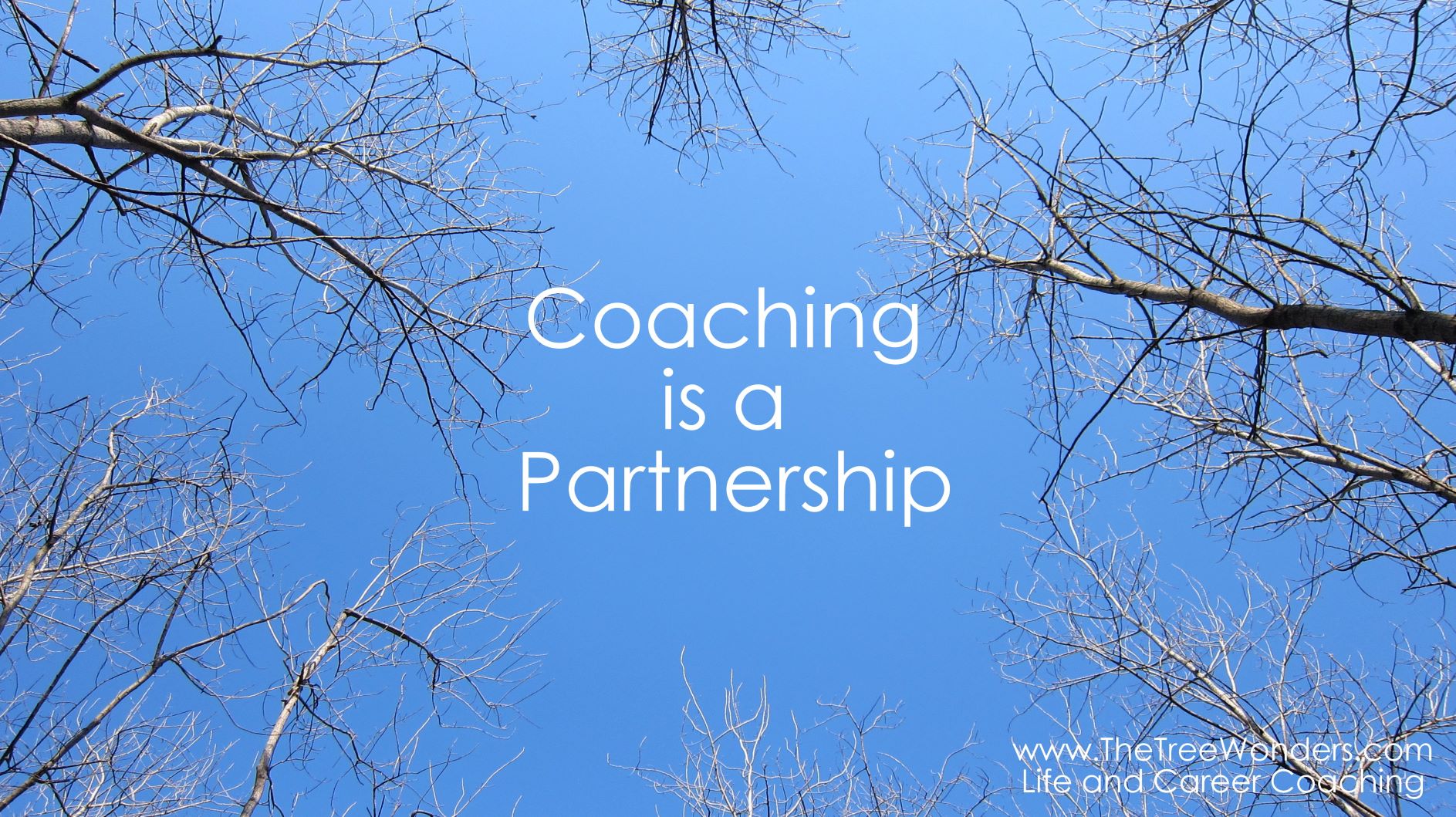 Life and Career Coaching